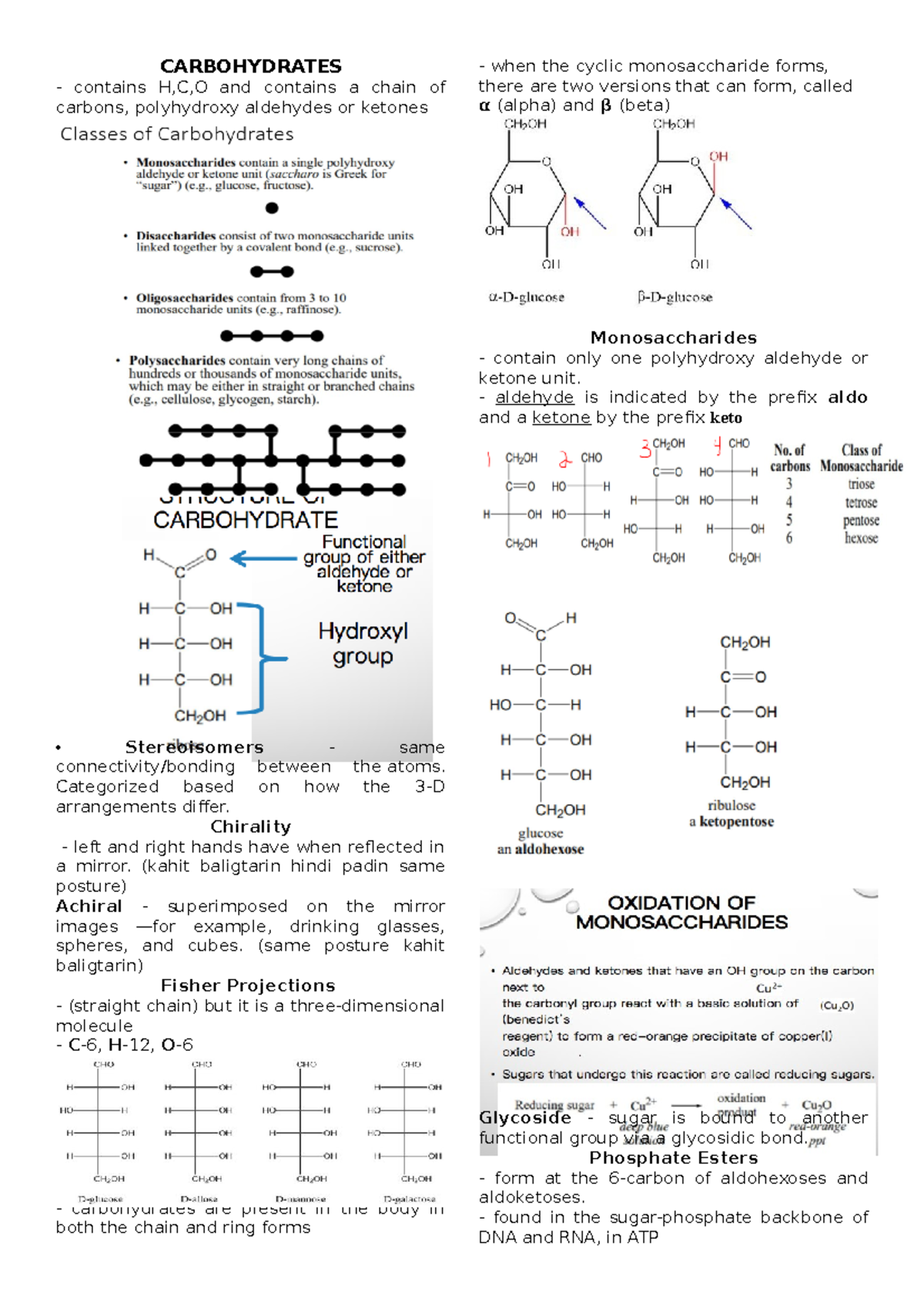 Biochem Carbo, Protein, Lipids - CARBOHYDRATES contains H,C,O and ...