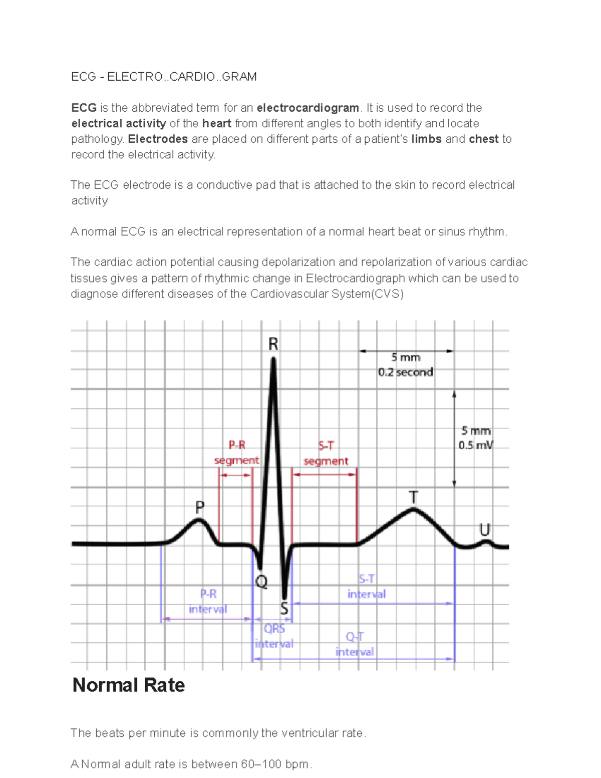 ECG and cardiac cycle Doc 5 - ECG - ELECTRO..CARDIO. ECG is the ...