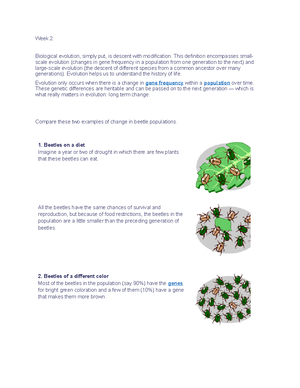 Ecological restoration of degraded ecosystems - Ecological restoration ...