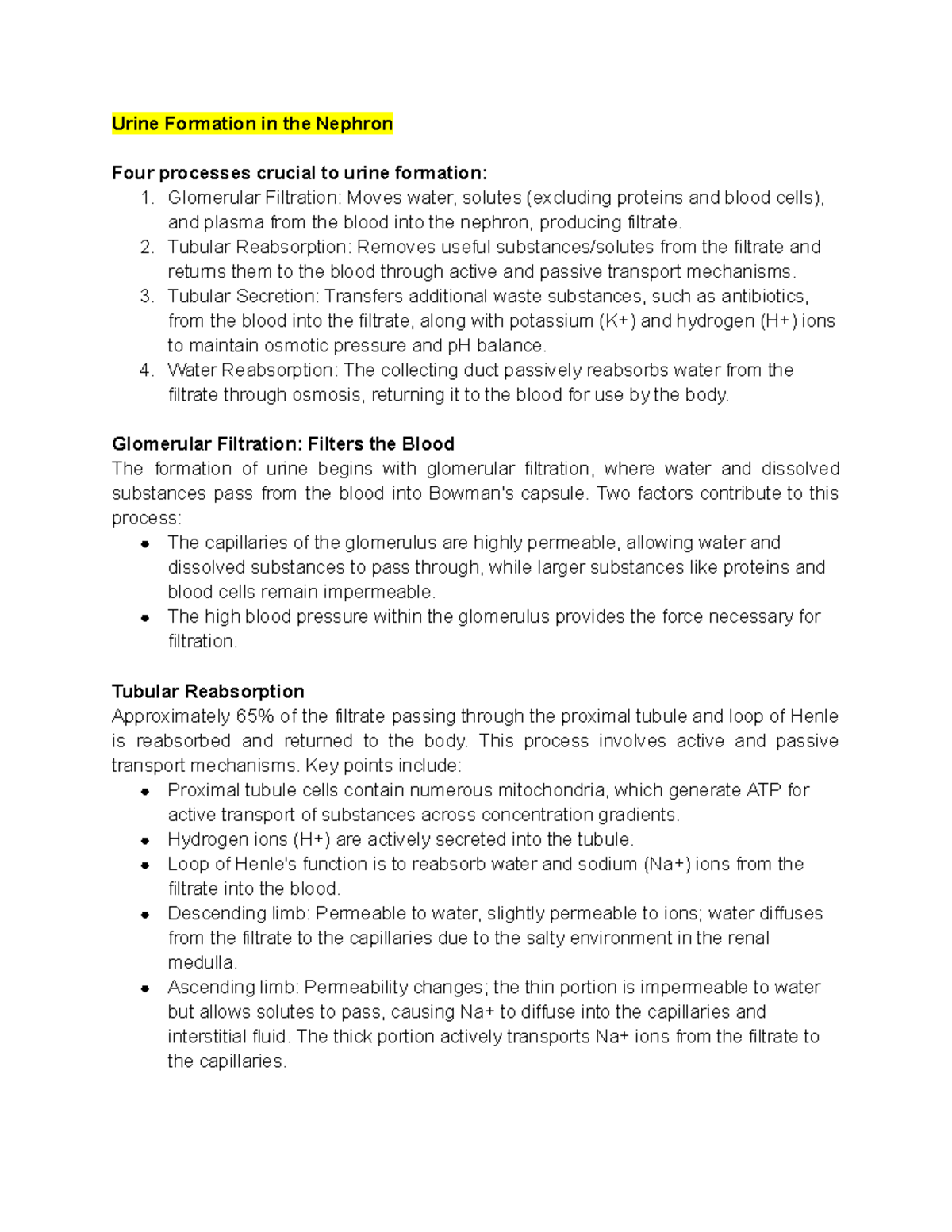 A Guide On Urine Formation in the Nephron - Urine Formation in the ...