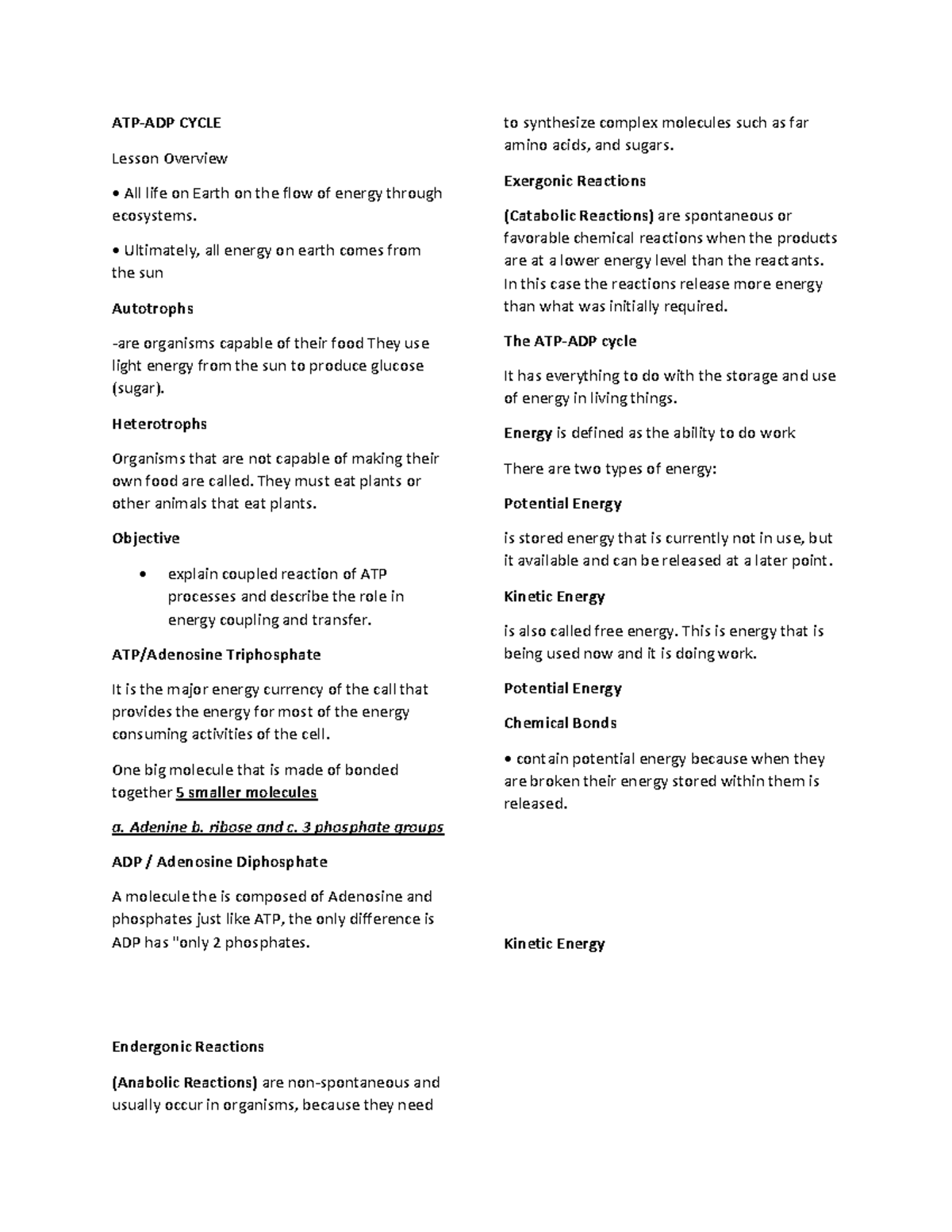 REV-IN- Biology - sfaf - ATP-ADP CYCLE Lesson Overview All life on ...