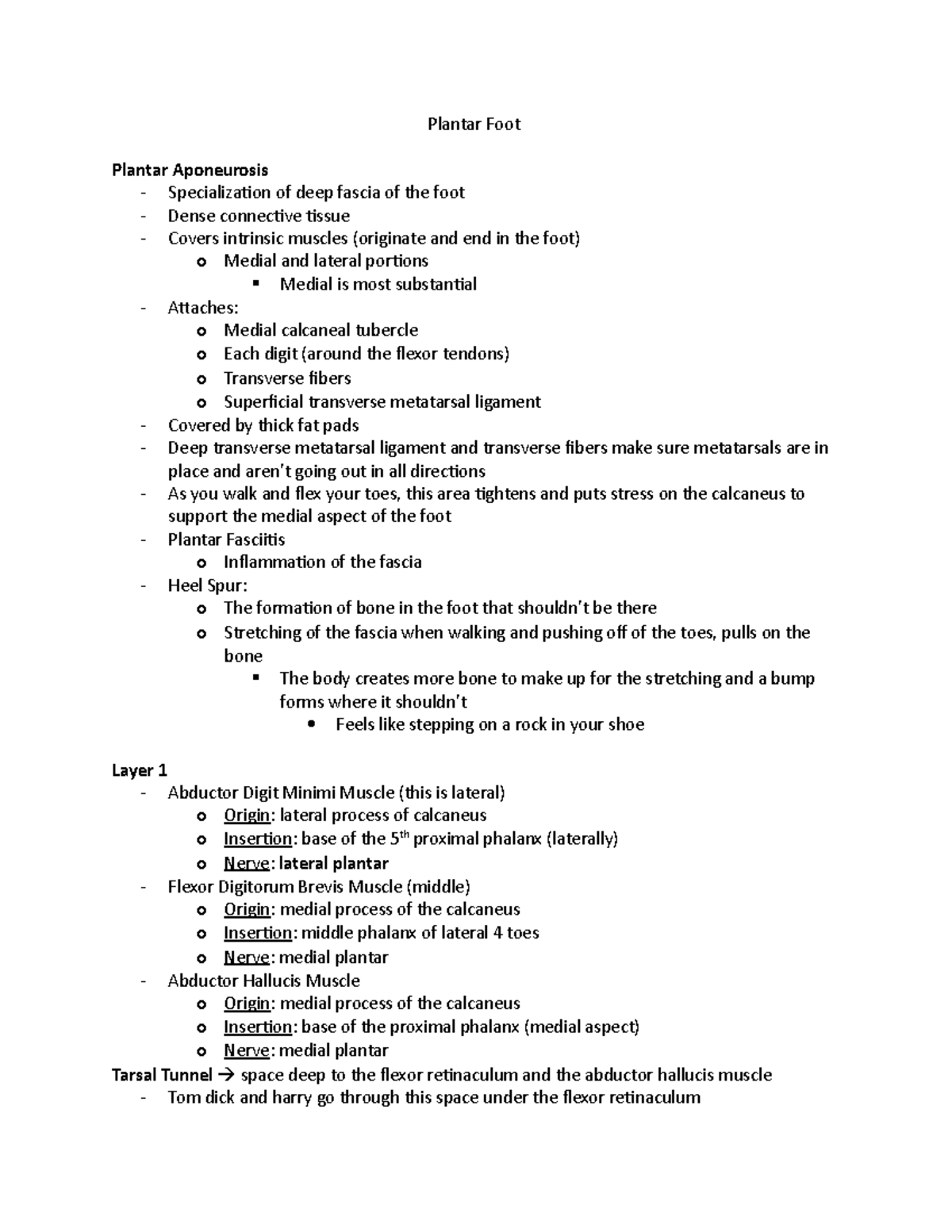 Plantar Foot Study Guide - Plantar Foot Plantar Aponeurosis ...