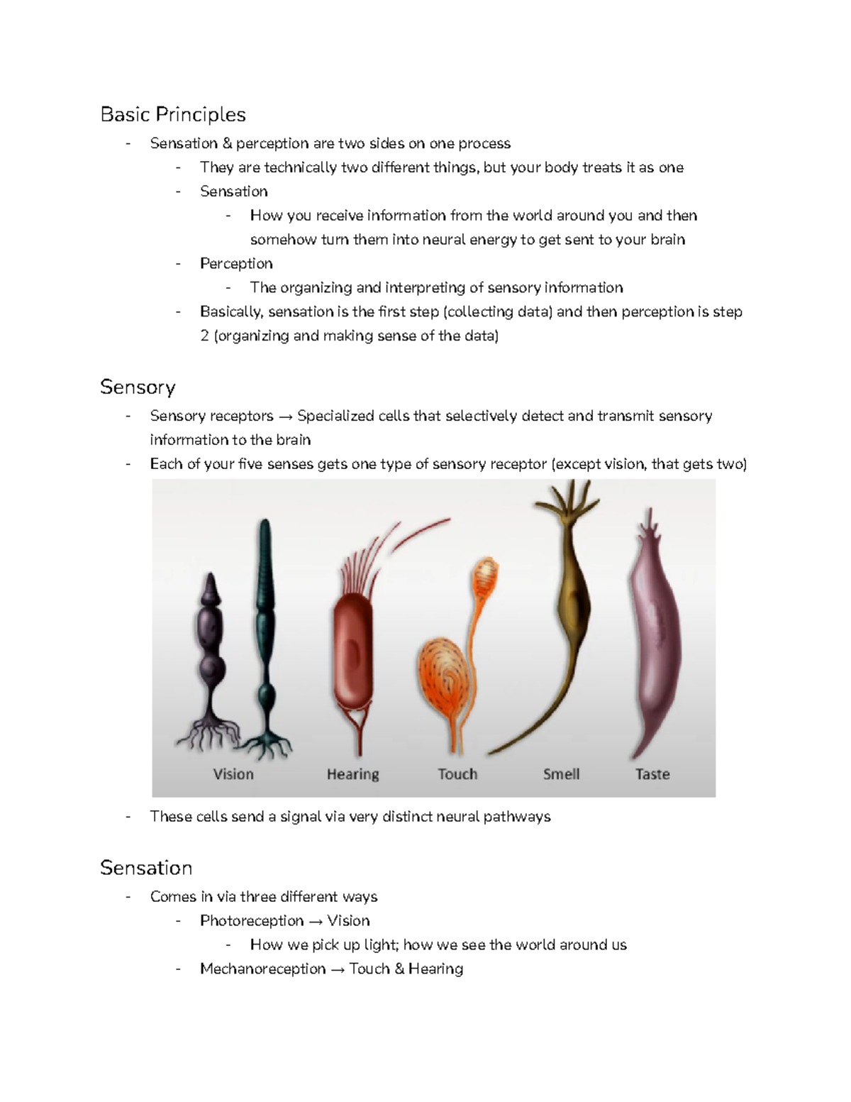 Psych 101 - Chapter 3 Lecture - Basic Principles Sensation & perception ...