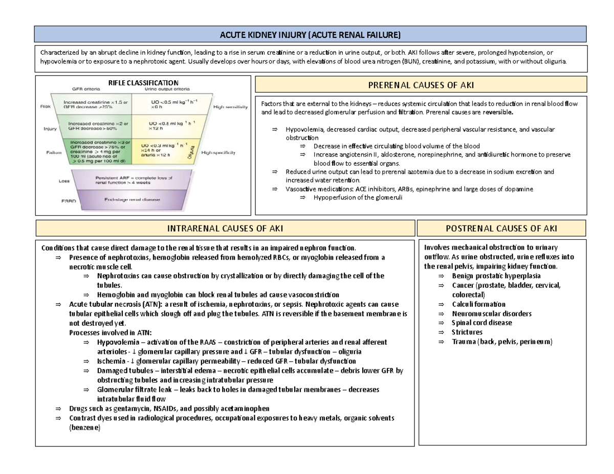 GU Study Guide - Pathophysiology for GU diseases. - ACUTE KIDNEY INJURY ...