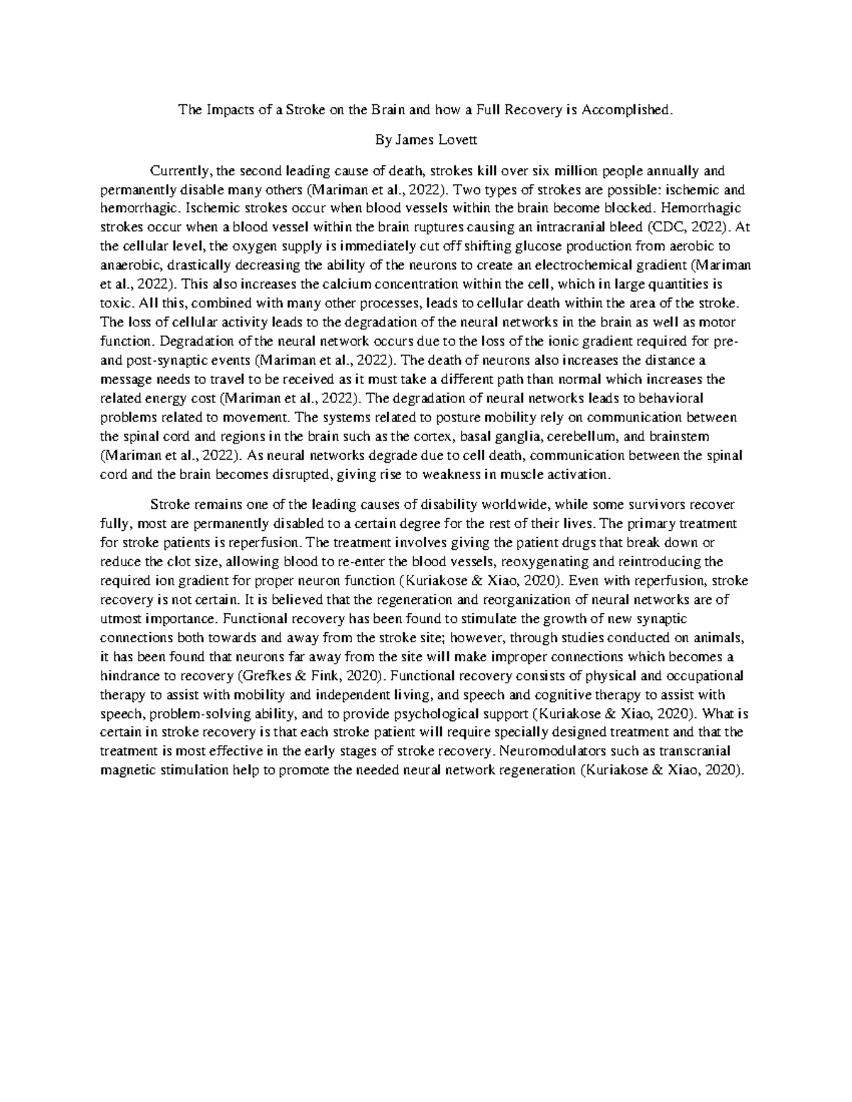 Essay 1 Final Draft - The Impacts of a Stroke on the Brain and how a ...
