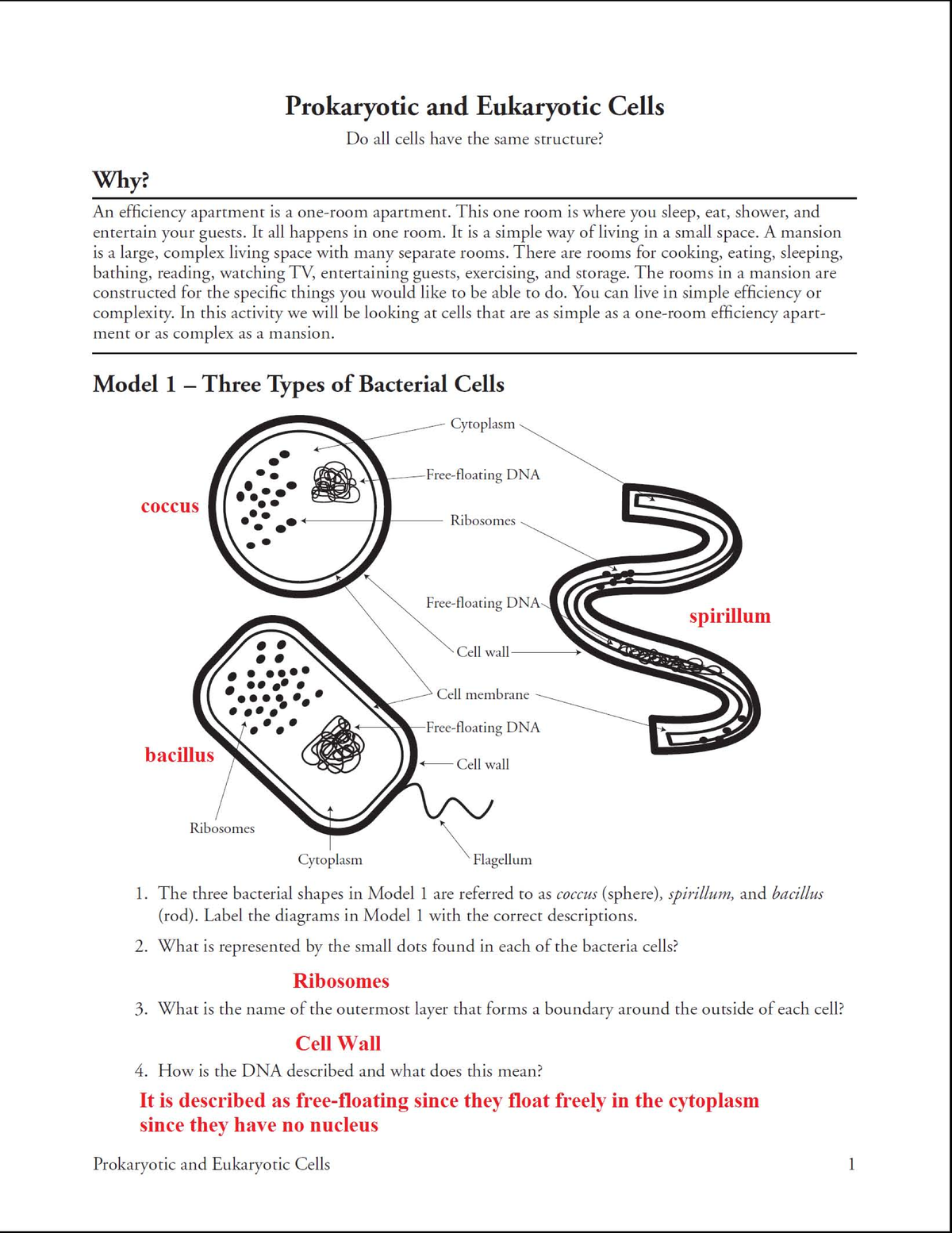373158774 Prokaryotic and Eukaryotic Cells - BIO 211 - Studocu