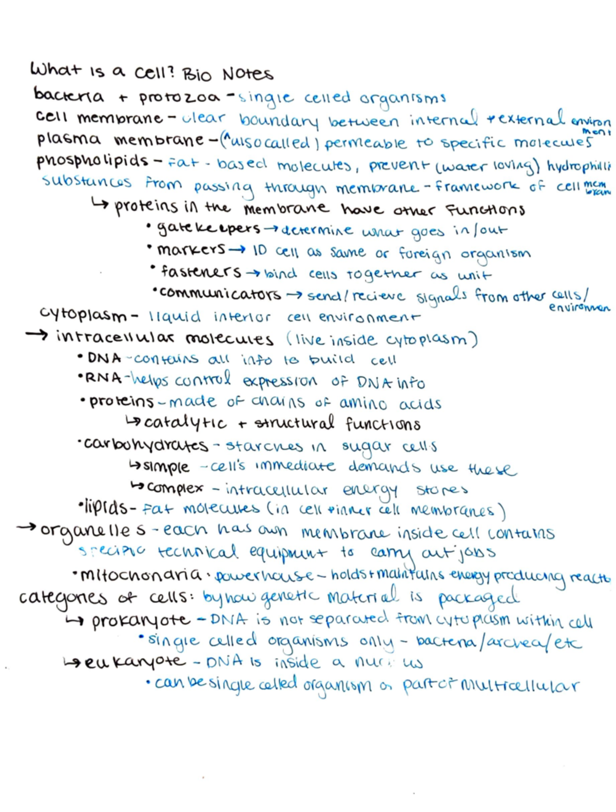 Cell reading notes - Professor Adolph - Top of Page ment boyan ...