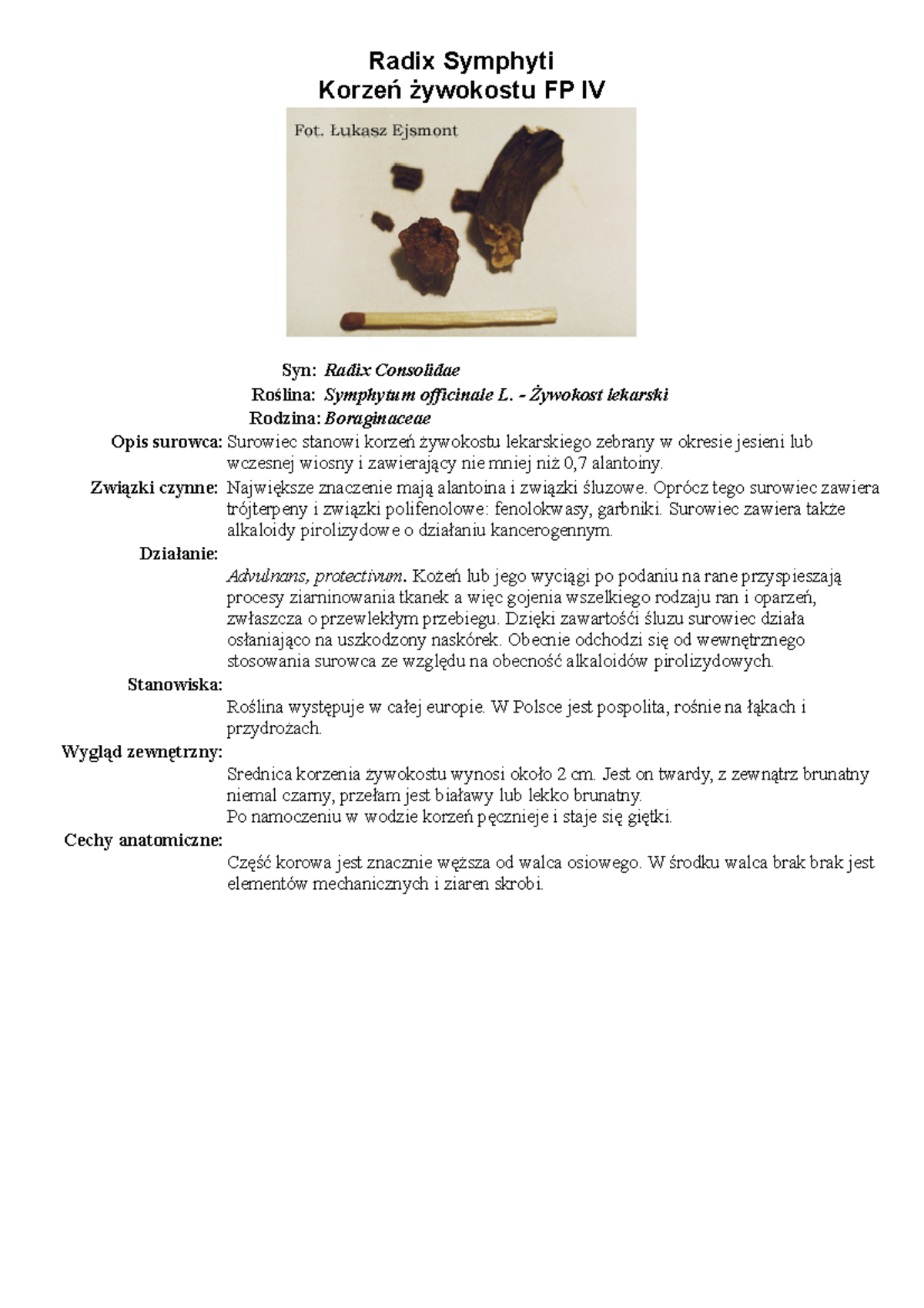 Radix Symphyti - Radix Symphyti Korzeń żywokostu FP IV Syn: Radix ...