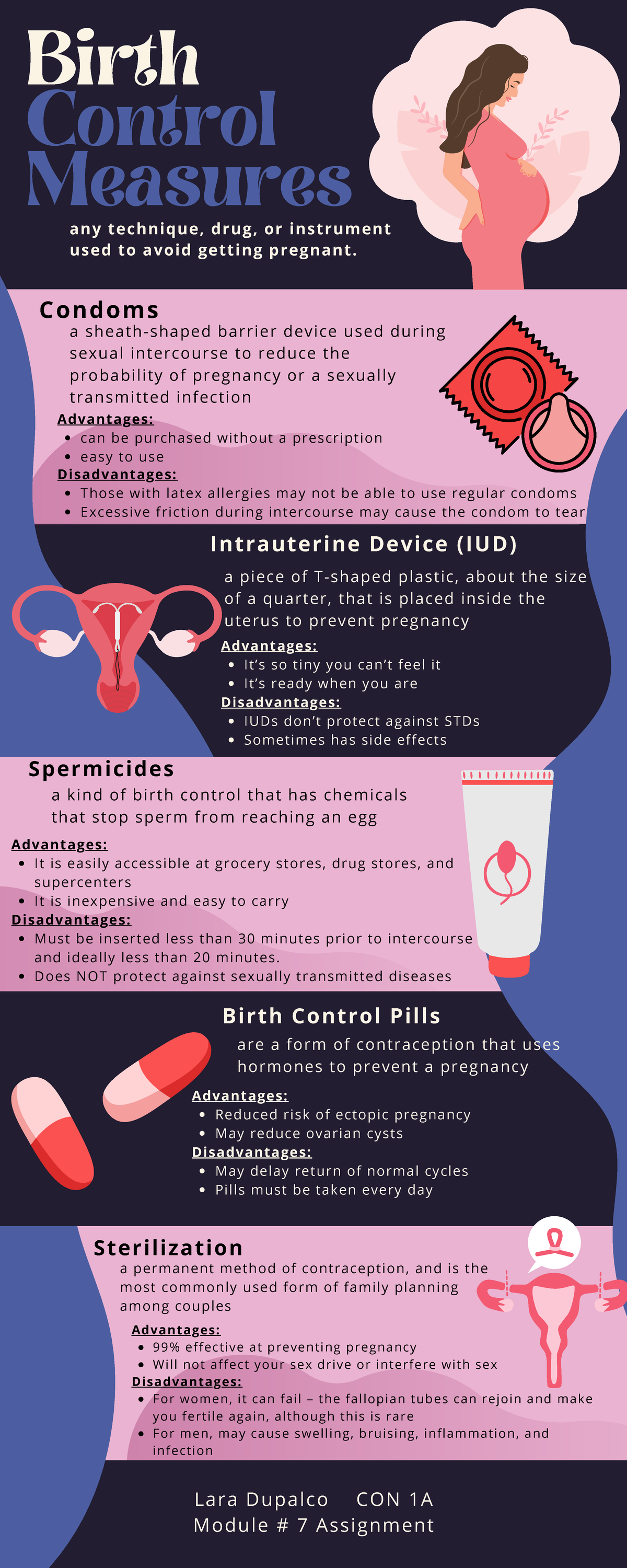 Assignment Module 7 Part 1 Create Your Own Example Of A Health Infographics Birth Control
