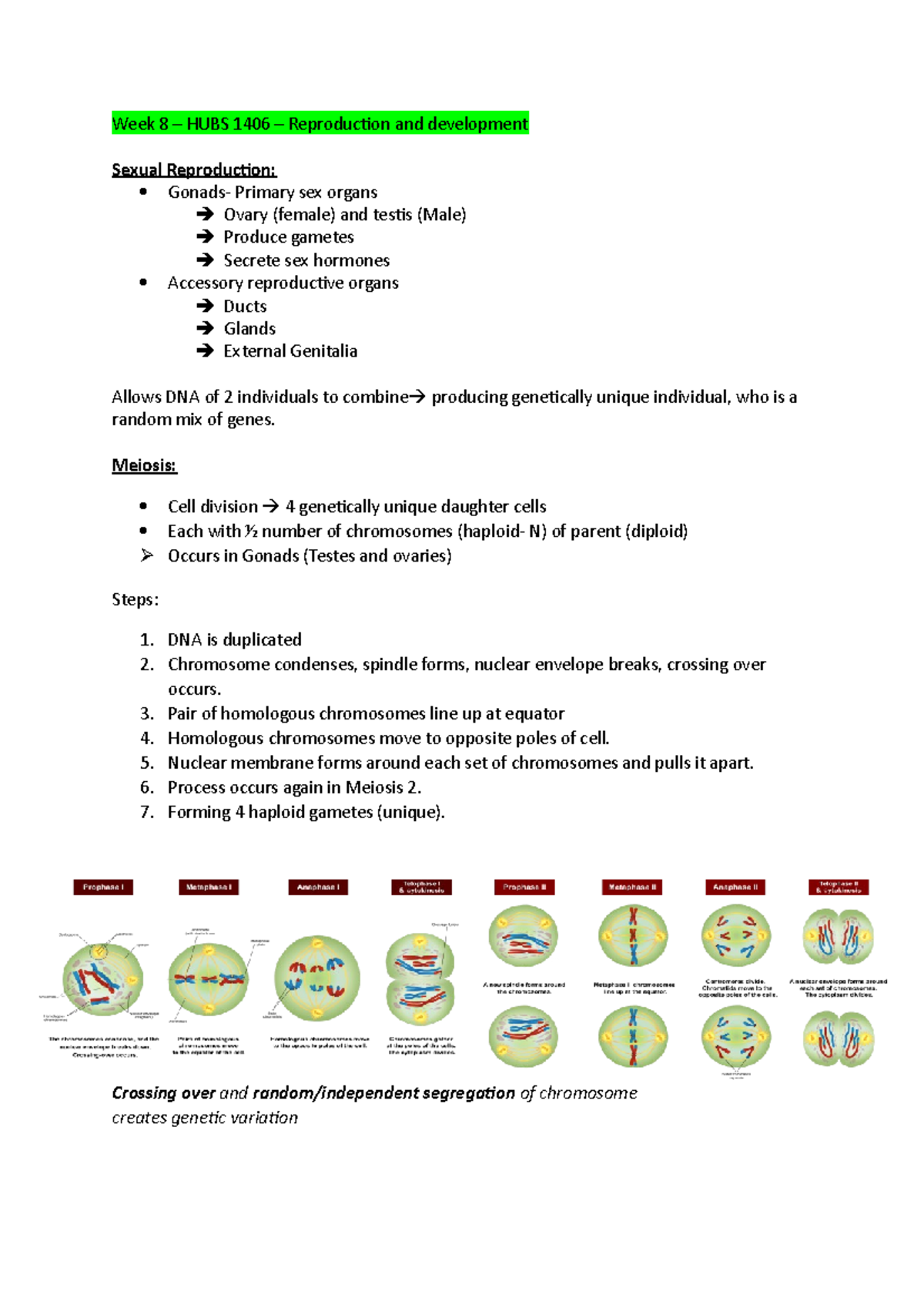 Week 8 - Lecture notes 8 - Week 8 – HUBS 1406 – Reproduction and ...