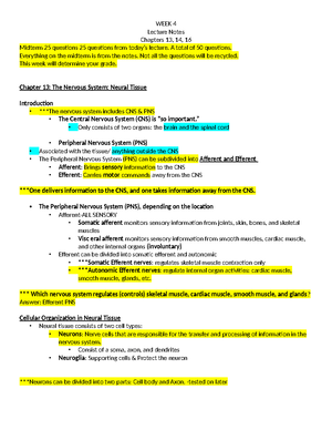 Anatomy CH. 9-11 Notes - Lecture Notes Chapters 9- Chapter 9 The ...