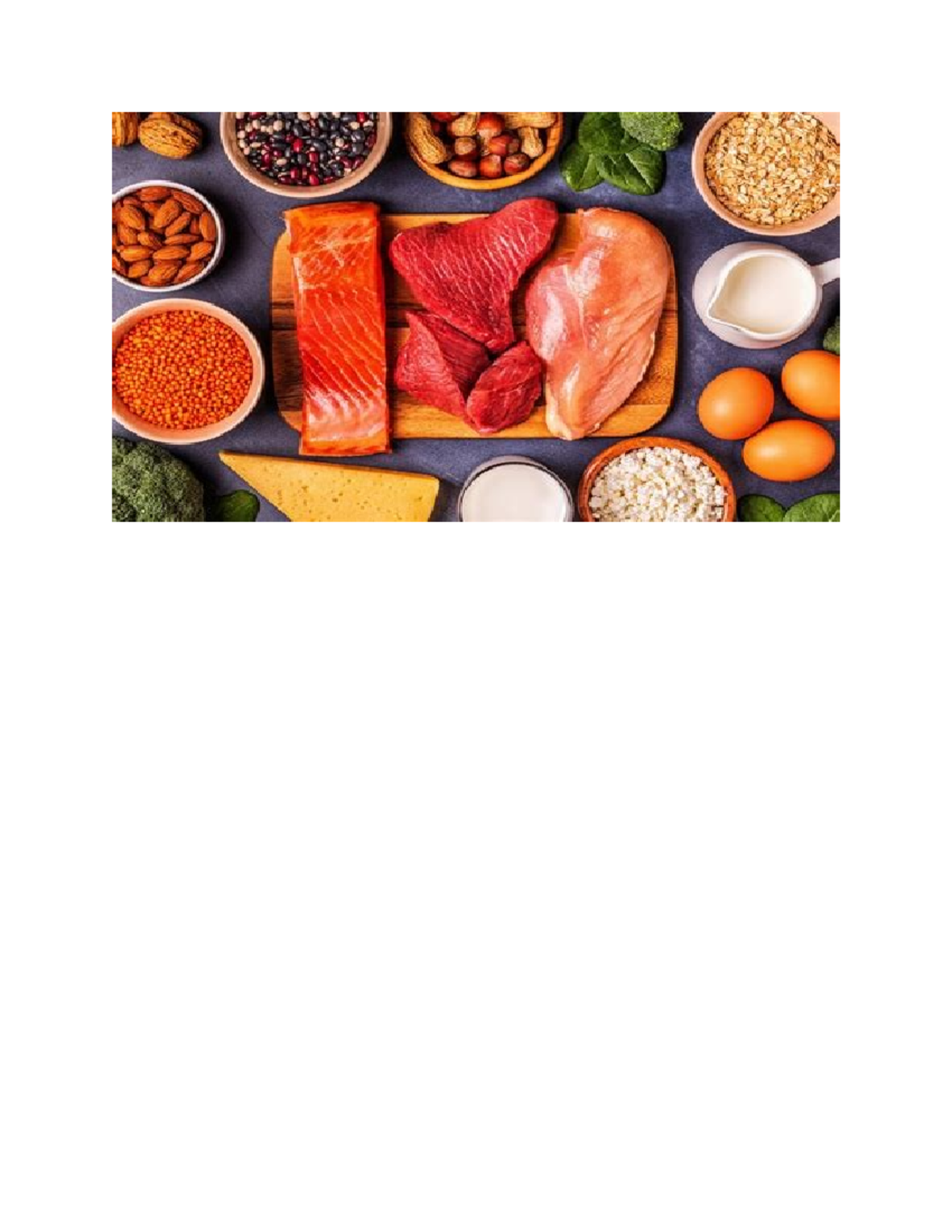 Examining the Nutritional Implications of Processed Protein A Critical ...