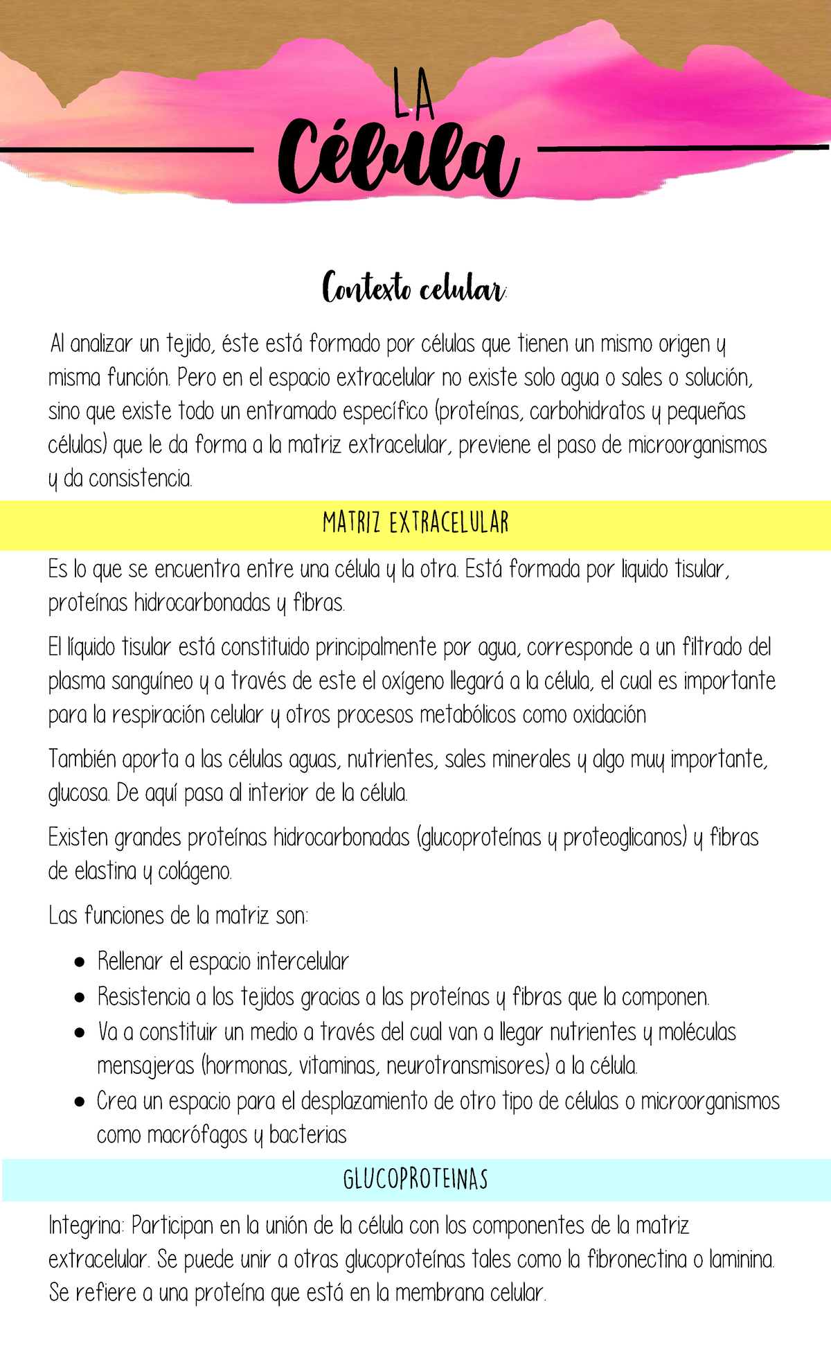 Célula Solemne 2 - Warning: TT: undefined function: 32 : Al analizar un tejido, éste está ...