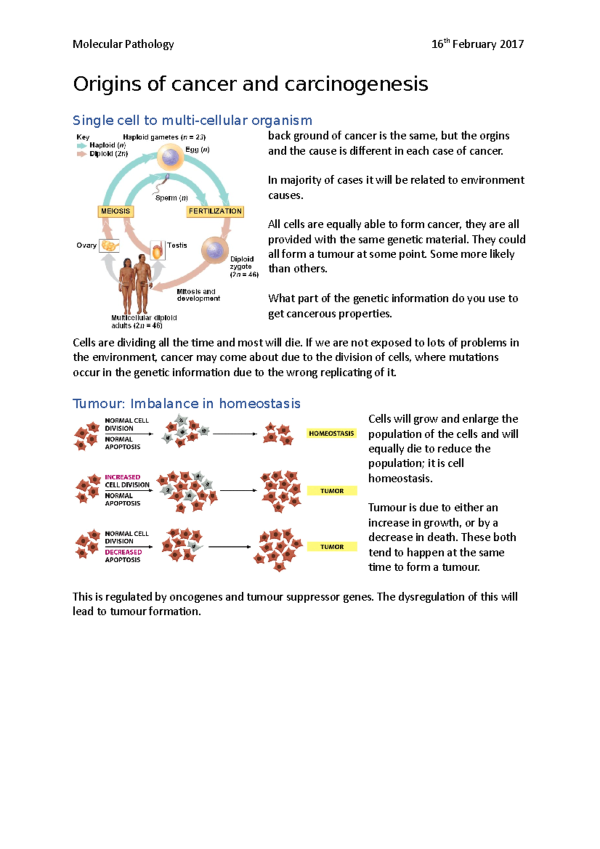 Molecular Pathology Origins of cancer and carcinogenesis - Molecular ...
