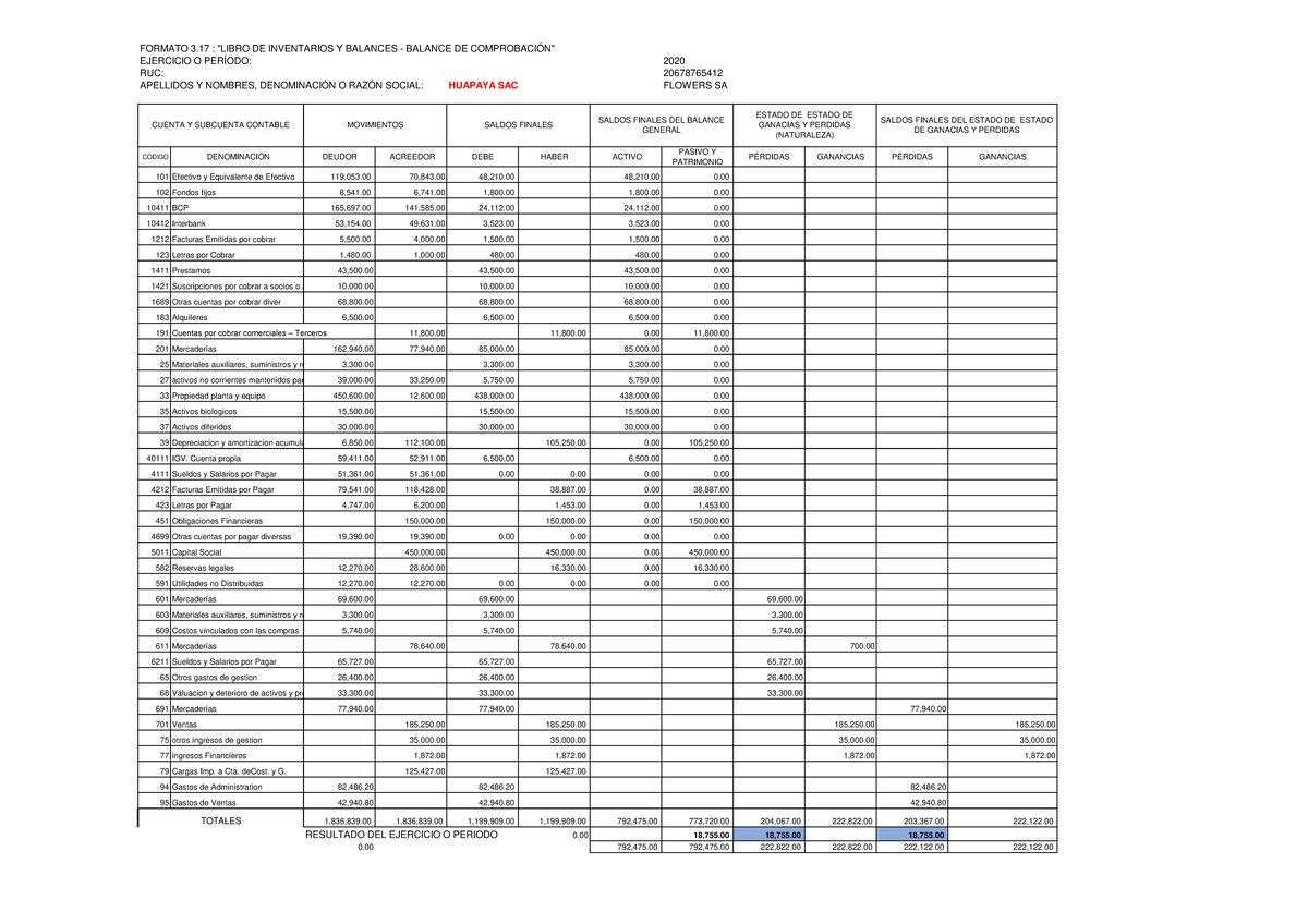Balance - FORMATO 3 : "LIBRO DE INVENTARIOS Y BALANCES - BALANCE DE ...