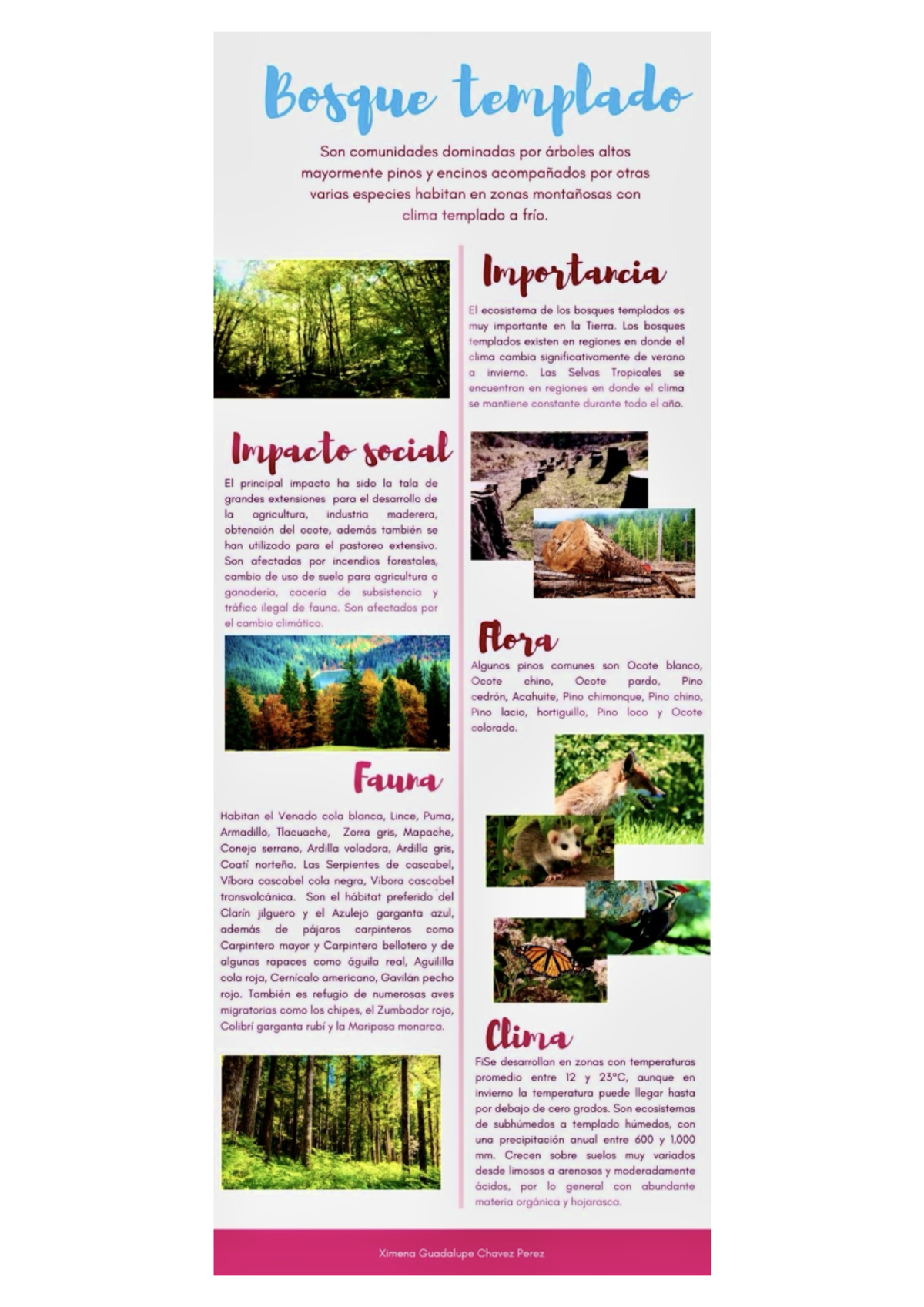 Eco - Cell Biology and Histology I - Studocu