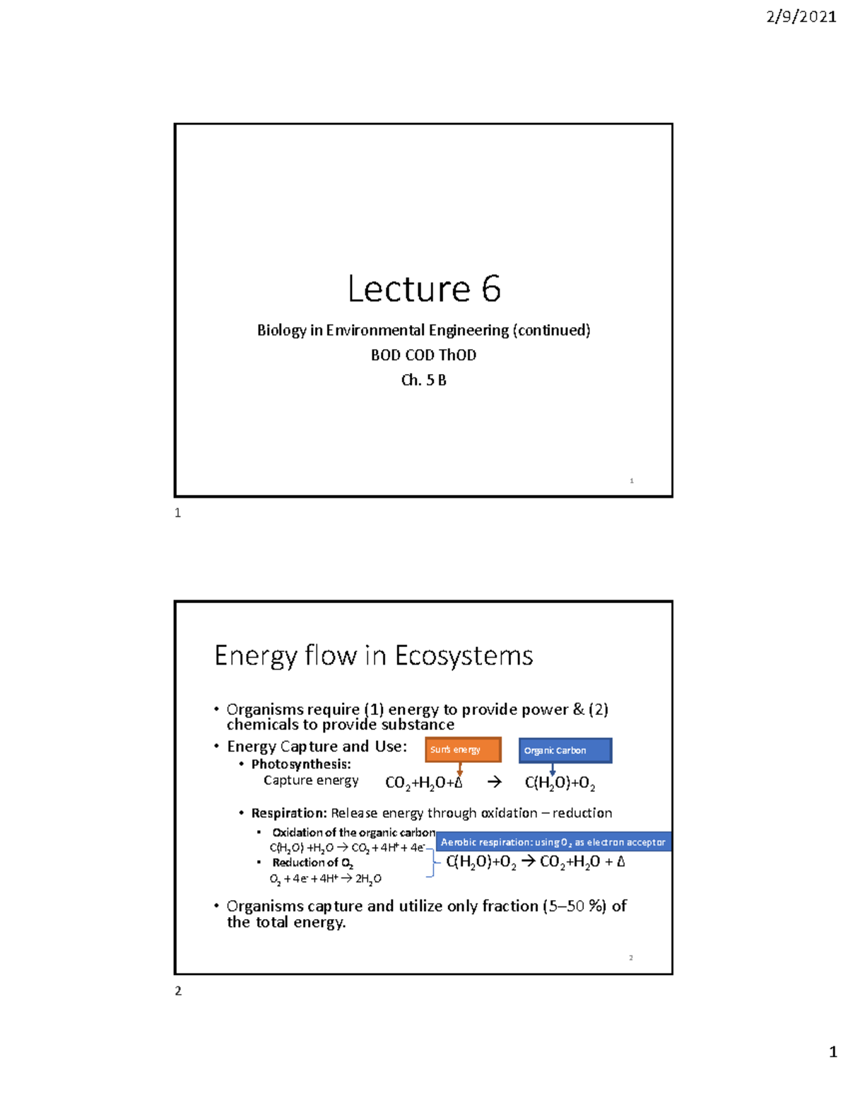 Lecture 6-2 - Notes - Lecture Biology in Environmental Engineering ...