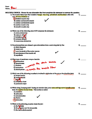 Chapter 16 - Reproductive System - Essentials of Anatomy and Physiology ...