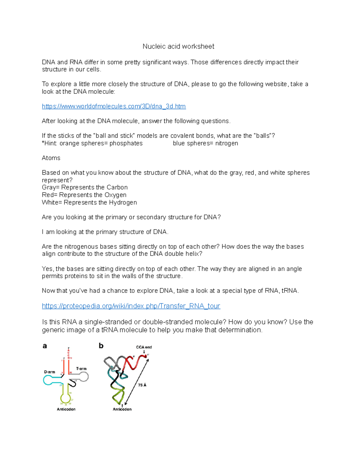 Nucleic acid worksheet - Those differences directly impact their ...