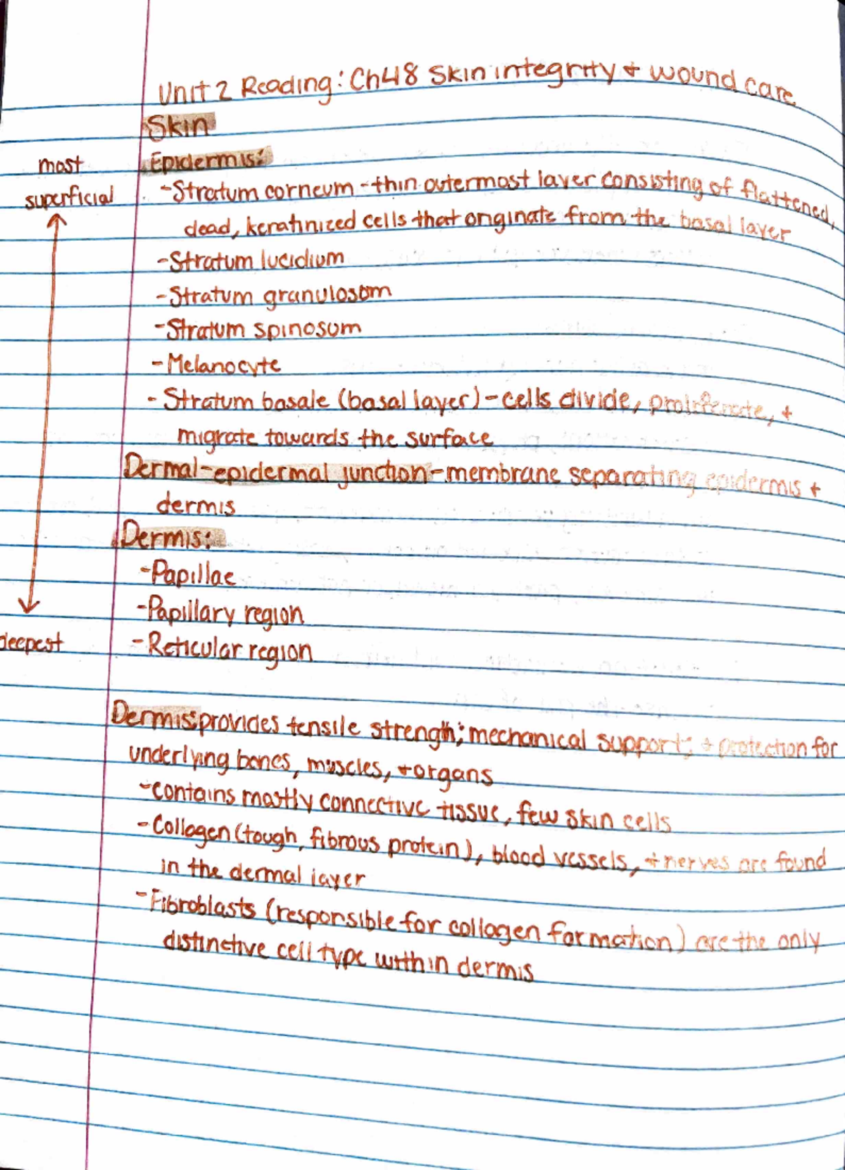 Skin integrity and wound care notes - Nurs 1871 - Studocu