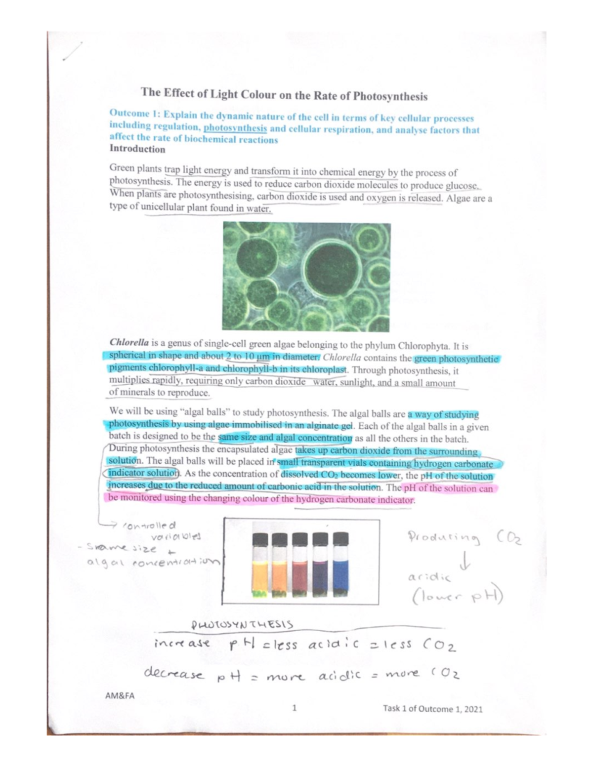 The Effect of Light Colour experiment 1 SAC - BLAW 2001 - Studocu