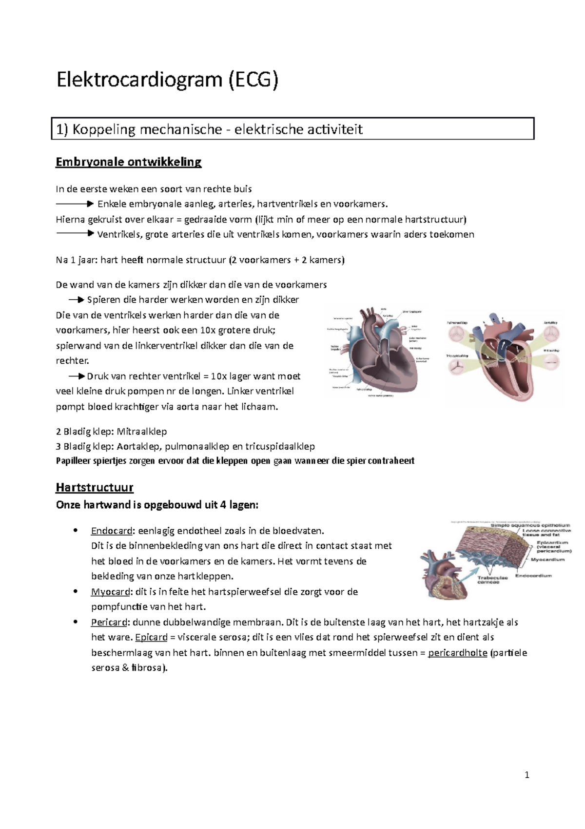 Menselijke-fysiologie-ECG - Elektrocardiogram (ECG) 1) Koppeling ...