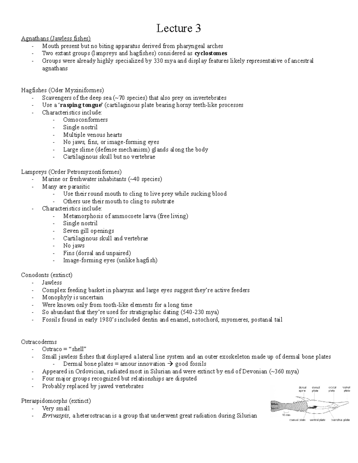 Lecture 3 - ZOO 2090 - Lecture 3 Agnathans (Jawless fishes) - Mouth present but no biting ...