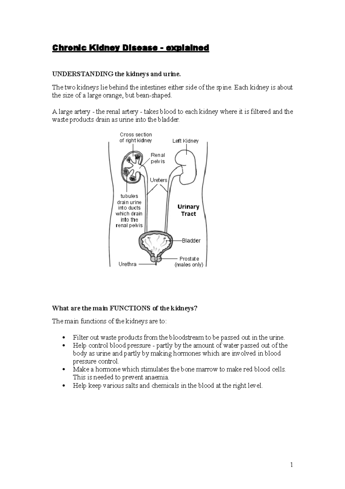 Chronic Kidney Disease Explained - Chronic Kidney Disease - explained ...