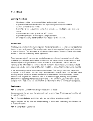Week 6 lab - Week 6 lab report - Week 6 Endocrine System Lab Learning ...