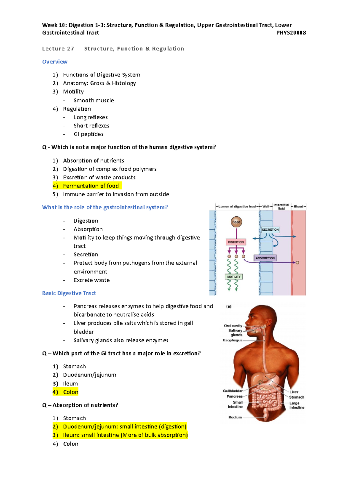 Lecture 27 - Digestion 1 (Structure, Function & Regulation ...
