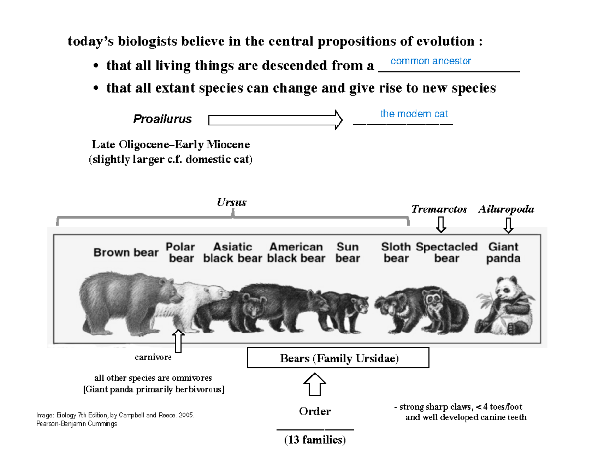 Module 4 (part 2) solve - Diversity of life - that all living things ...