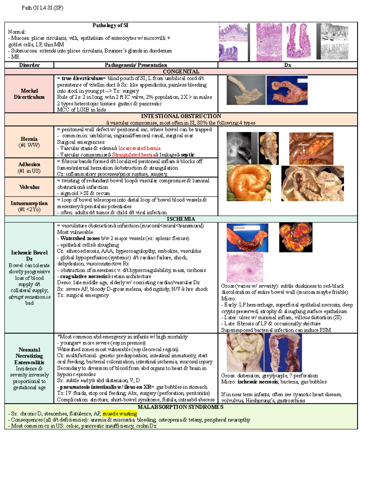 Path GI L4 SI-2 - Path GI L4 SI-2 - Pathology of SI Normal: Mucosa ...