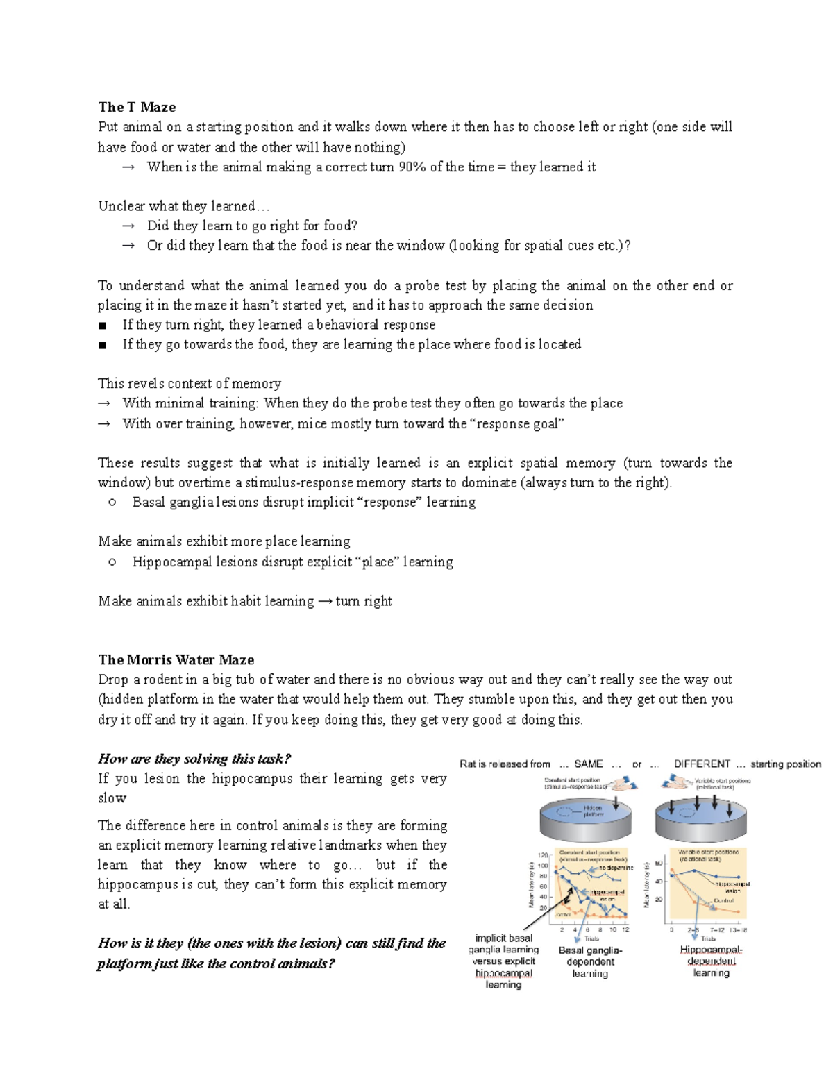 Lecture 18 Language - The T Maze Put animal on a starting position and ...