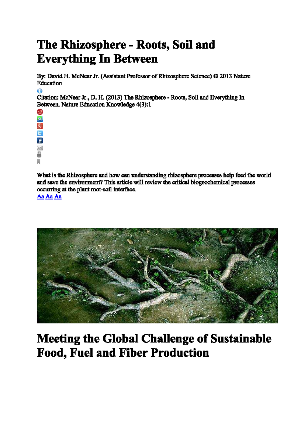 Rhizosphere - dfgrte - The Rhizosphere Roots, Soil and Everything In ...