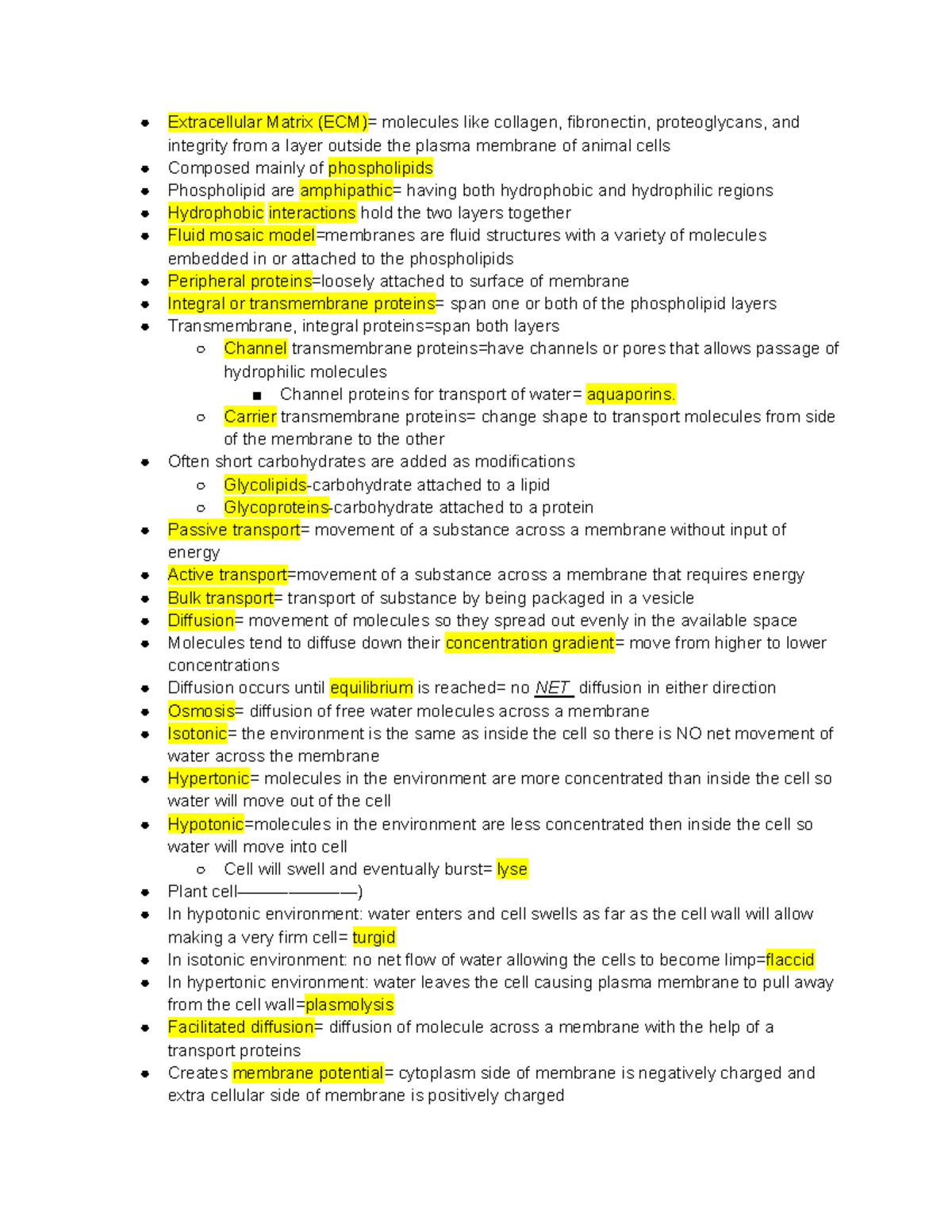 Bio notes Ch 5-7 - Extracellular Matrix (ECM)= molecules like collagen ...