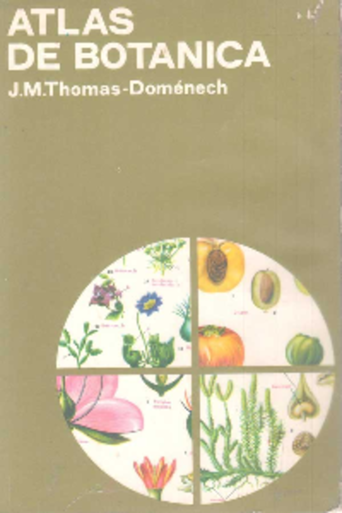 Atlas DE Botanica - Biología de plantas - Studocu