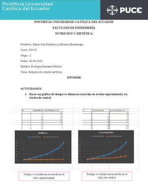 Preguntas HTP (CASA, ÁRBOL, PERSONA) - Cuestionario HTP 1. ¿Qué es el ...