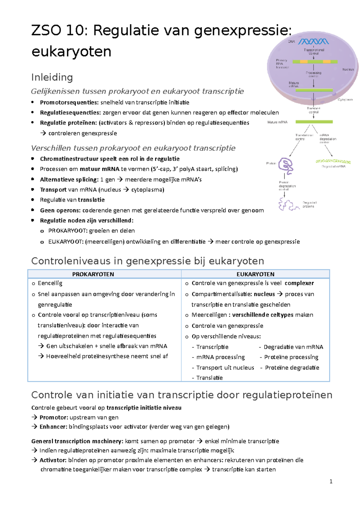 ZSO 10-Regulatie-van-de-genexpressie-Eukaryoten - ZSO 10: Regulatie van ...