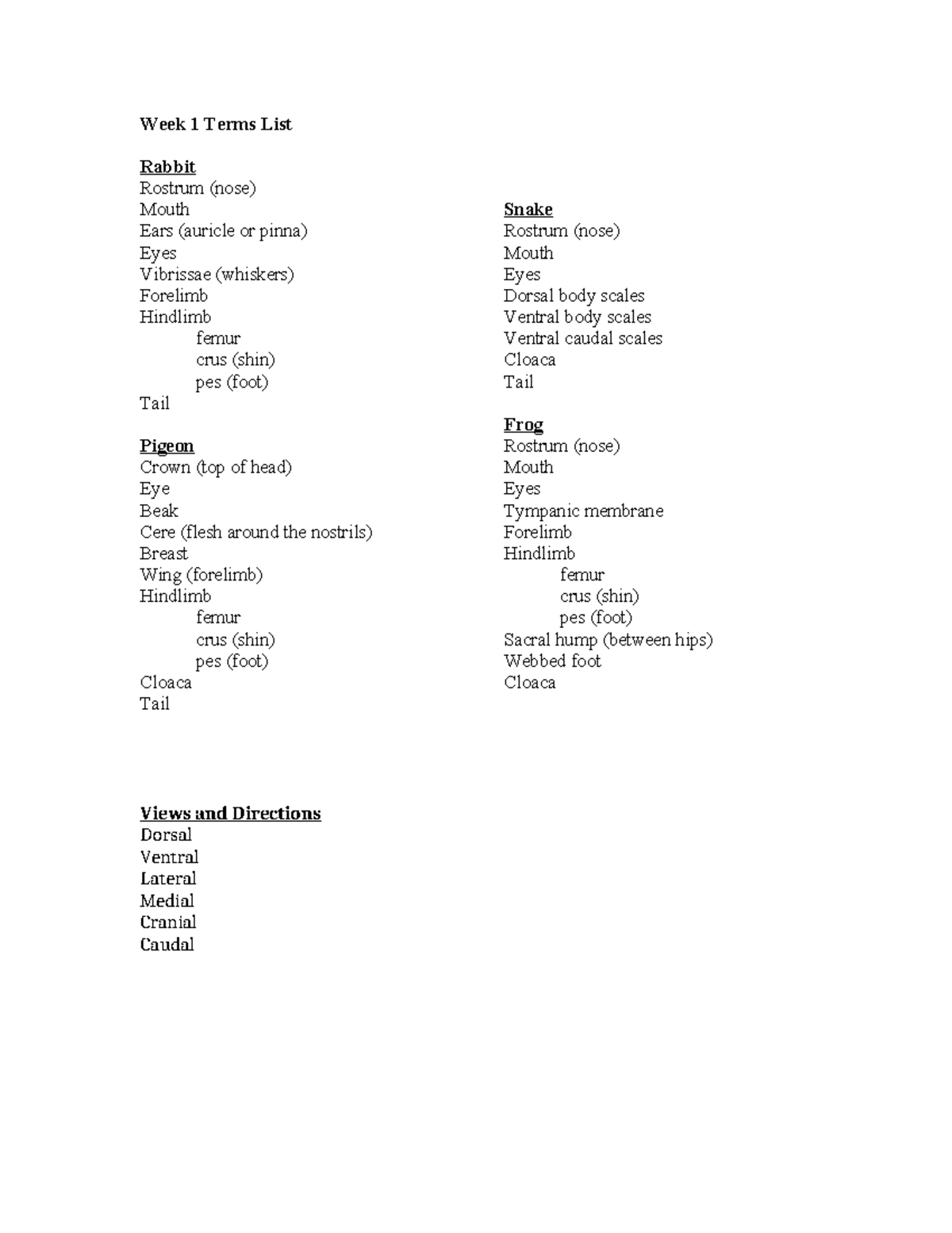 Week 1 Terms List - Week 1 Terms List Rabbit Rostrum (nose) Mouth Ears ...
