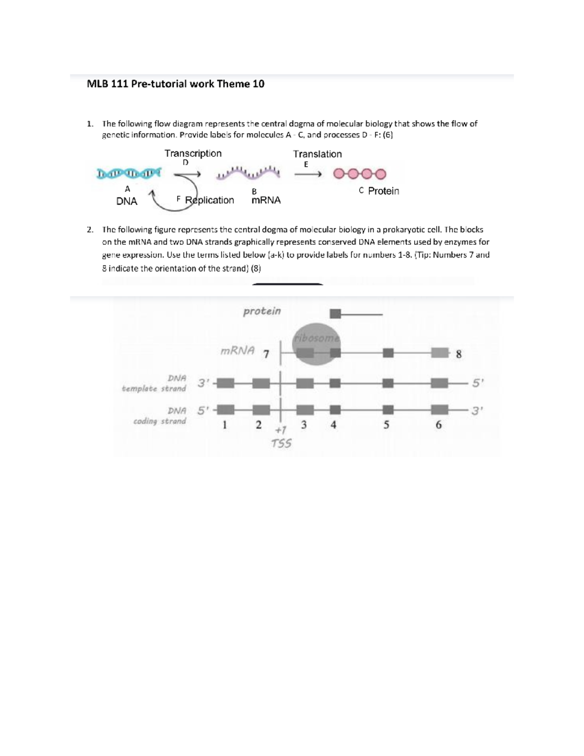 MLB 111 Pre-tutorial work Theme 10 - MLB 111 - Studocu