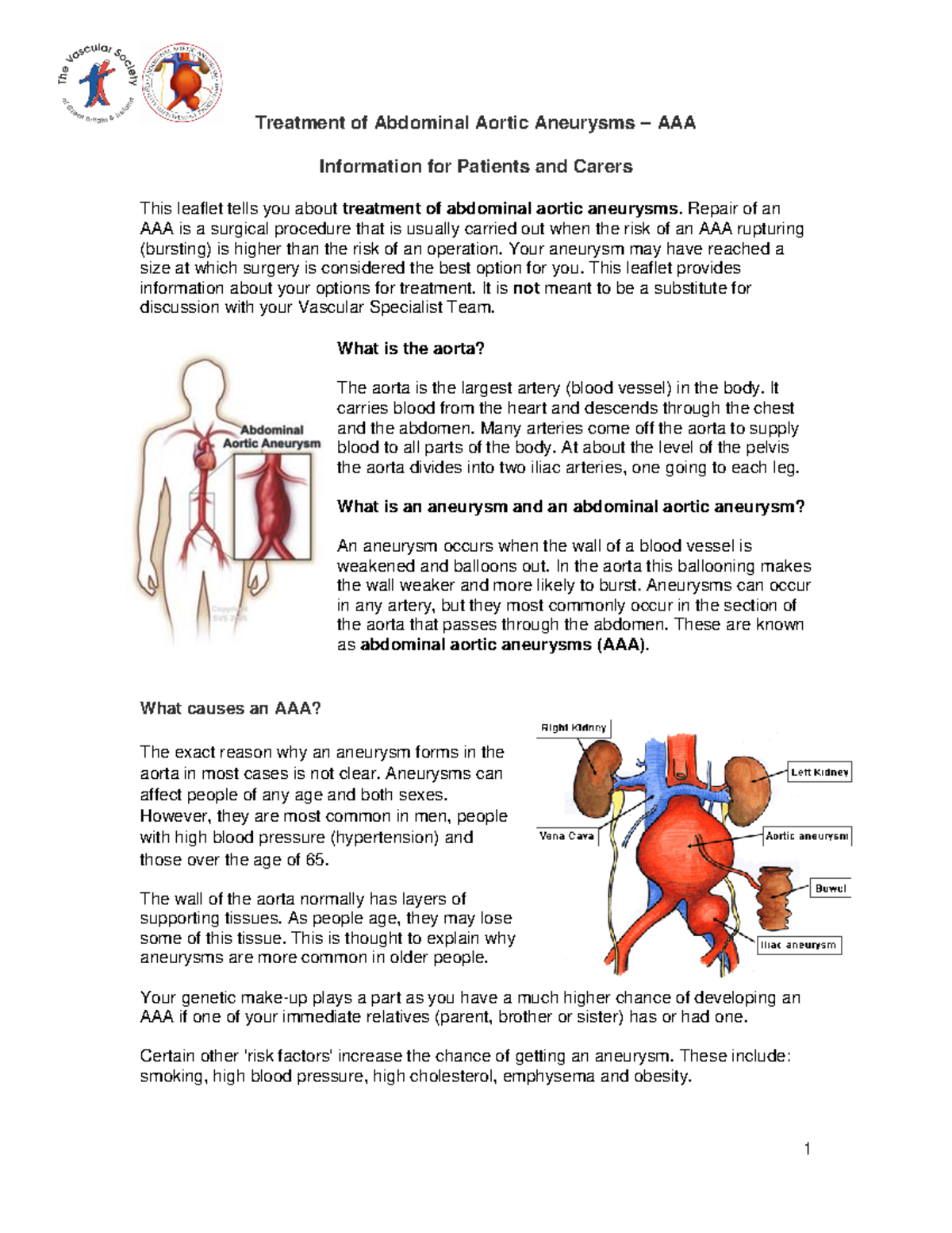 Patient information leaflet treatment of aaa - Treatment of Abdominal ...
