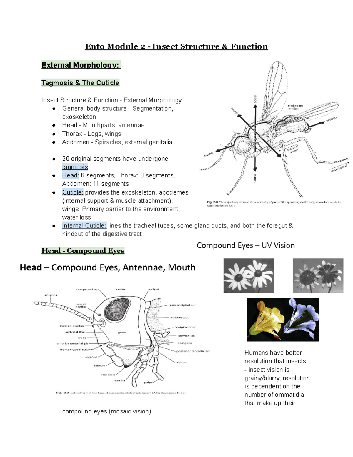 Ento Module 2 - Studocu