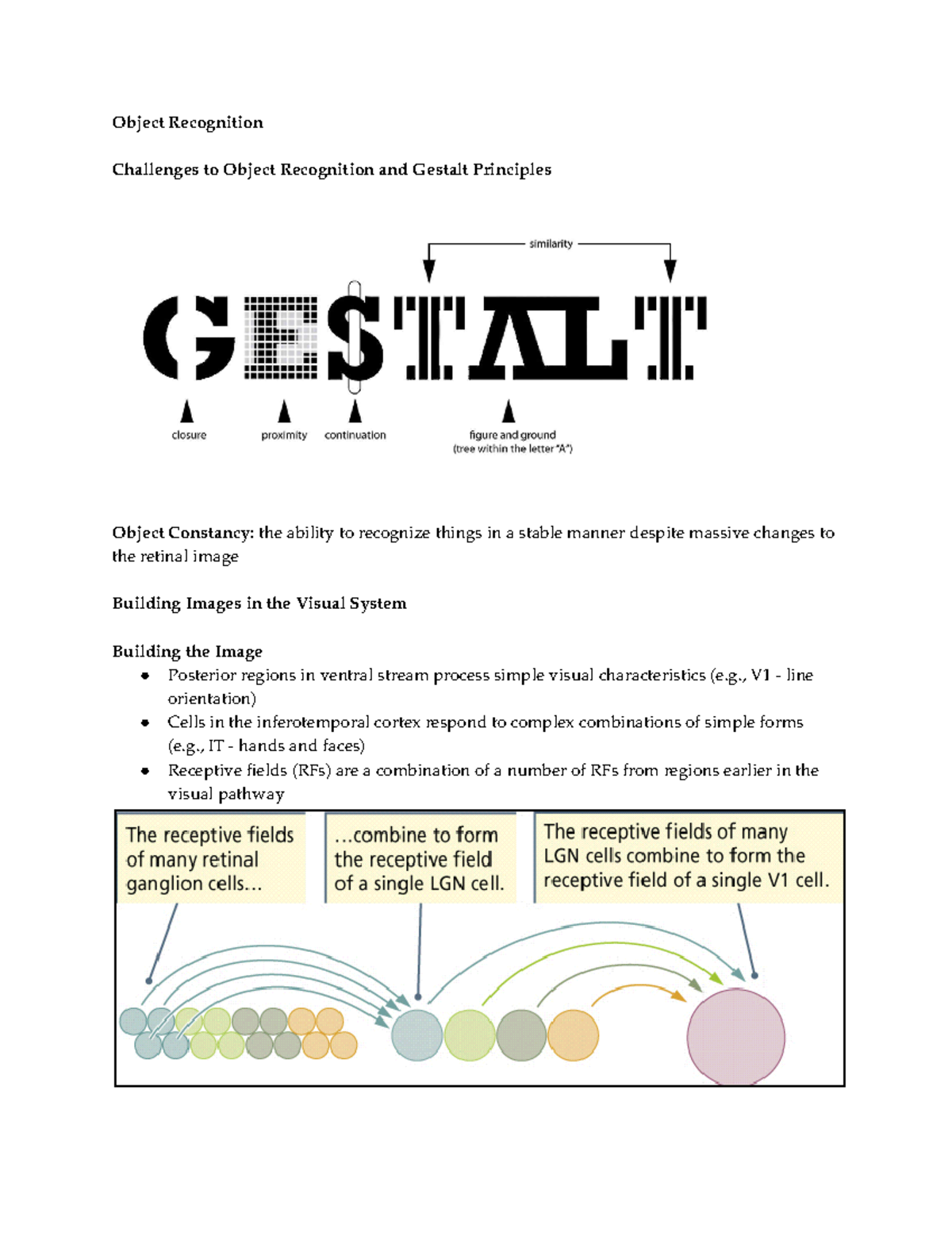 7 - object recognition - Object Recognition Challenges to Object ...