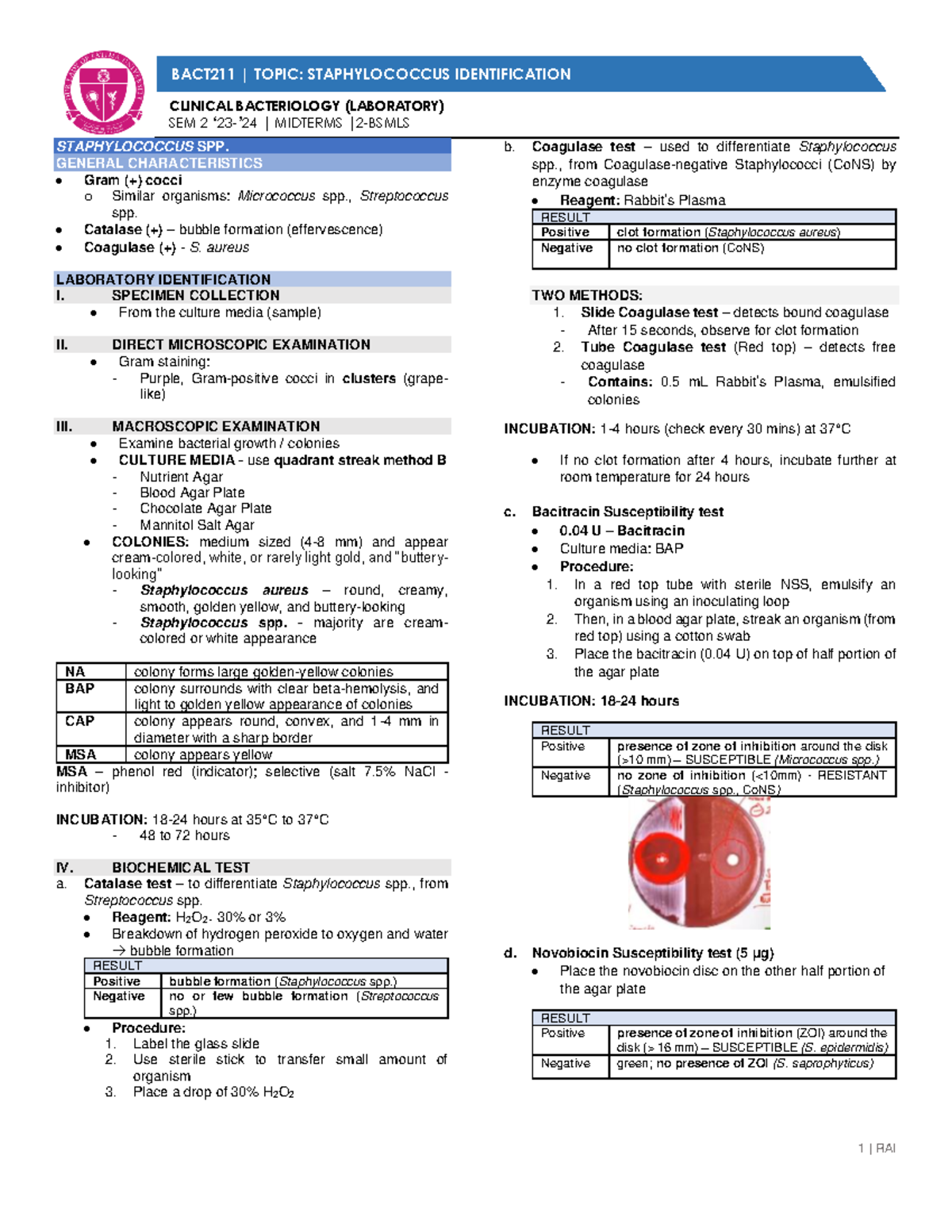2-Staphy Identification - 1 | RAI CLINICAL BACTERIOLOGY (LABORATORY ...