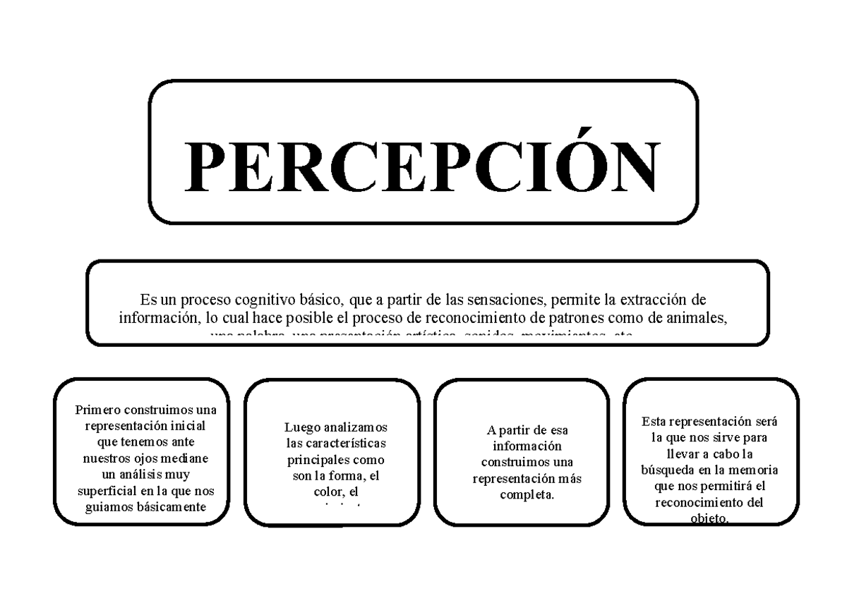 1. Percepcion - ES IMPORTANTE EL TEMA - PERCEPCIÓN Es un proceso cognitivo básico, que a partir ...