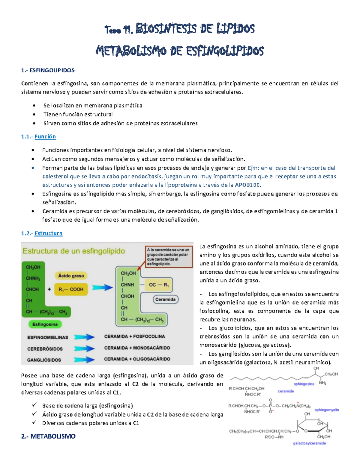 Biosíntesis de Lípidos y Metabolismo de Esfingolípidos - 1 ...