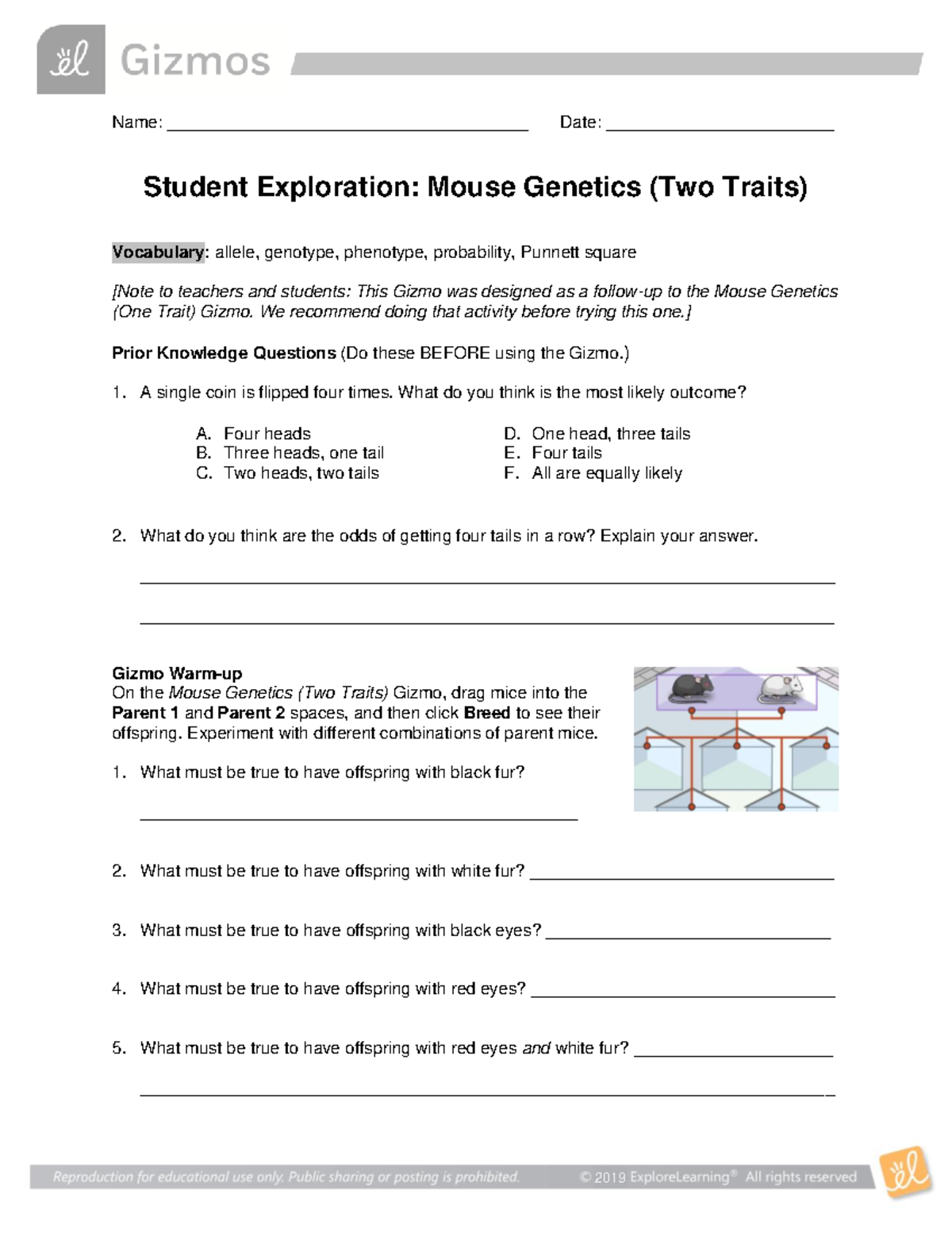 Mouse Genetics Two Traits - Name ...