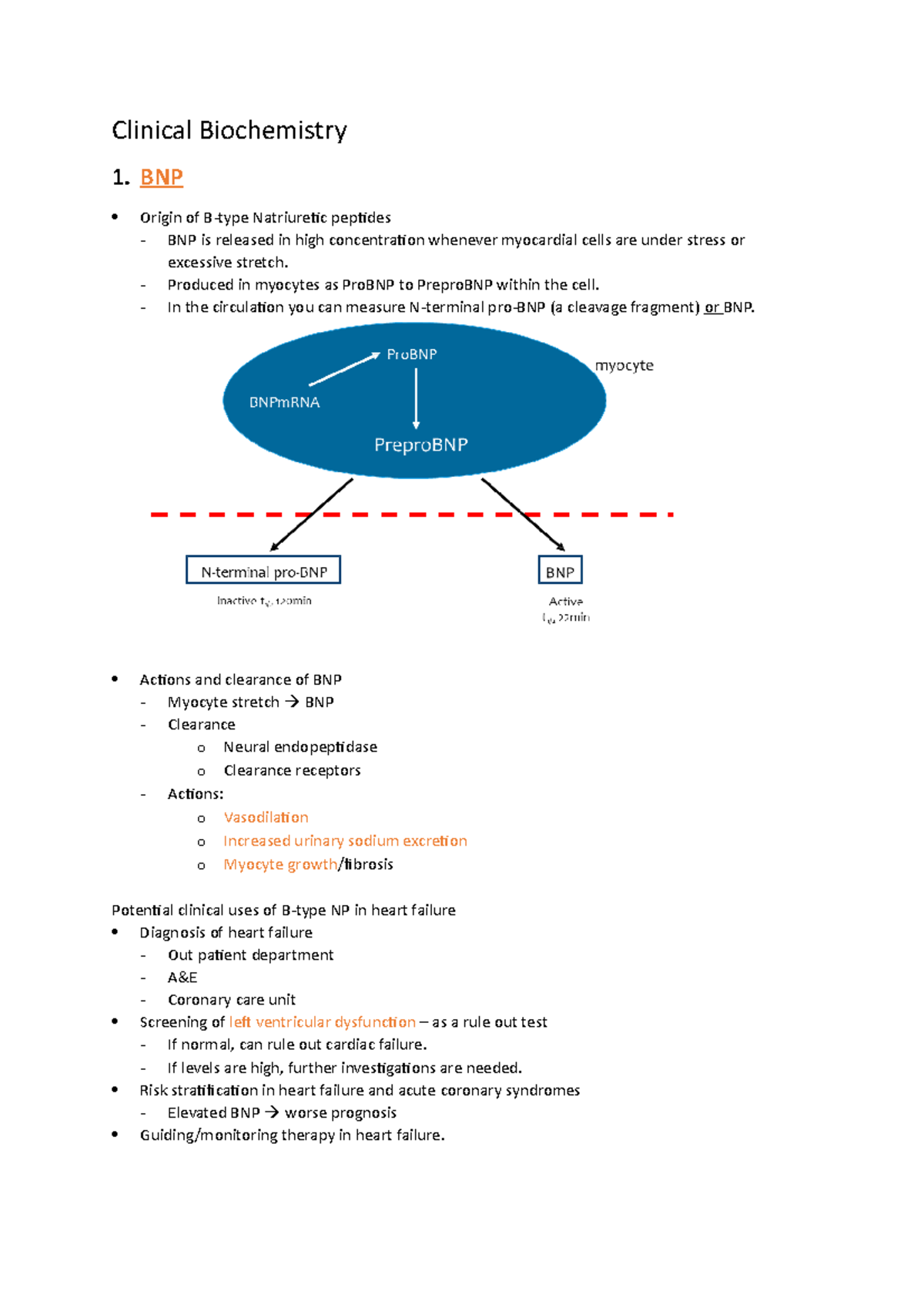 Clinical Biochemistry - BNP Origin of B-type Natriuretic peptides - BNP ...