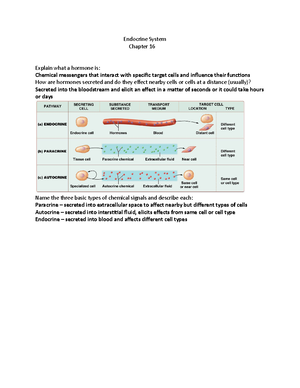 Urinary System Unit 4 test questions -1 - Human Anatomy & Physiology ...