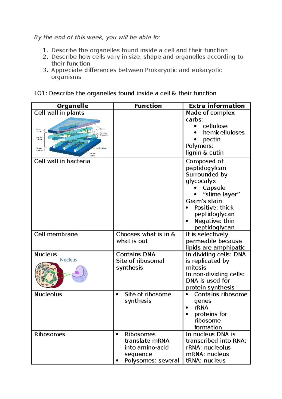 Week 3 organelles - structure and functions of each organelle. - By the ...